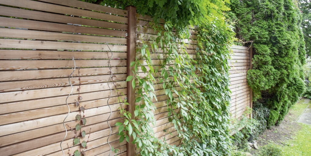 Rhombus Design - Shop | Holz-Hohmann